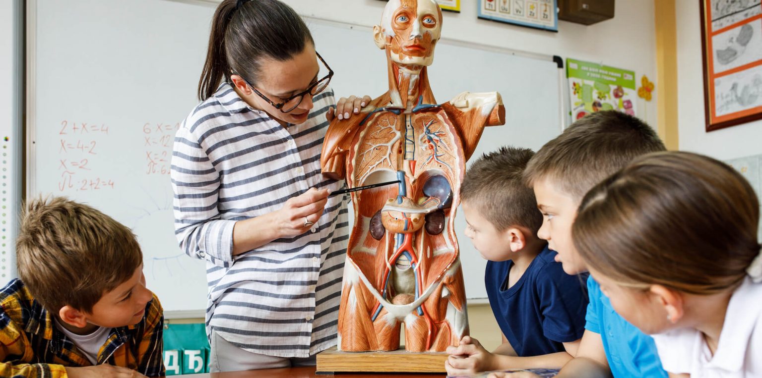 Le Master MEEF : à Bordeaux & à distance - isfec Francois d'Assise